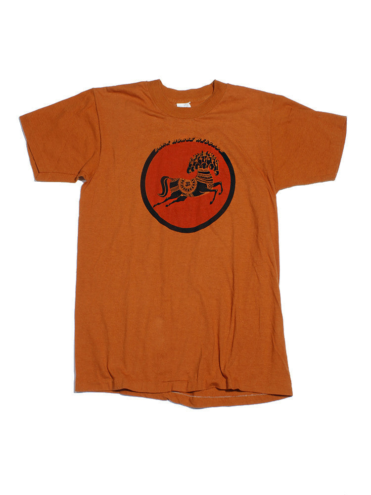 Vintage Dark Horse Records - George Harrison 1974 – Afterlife Boutique